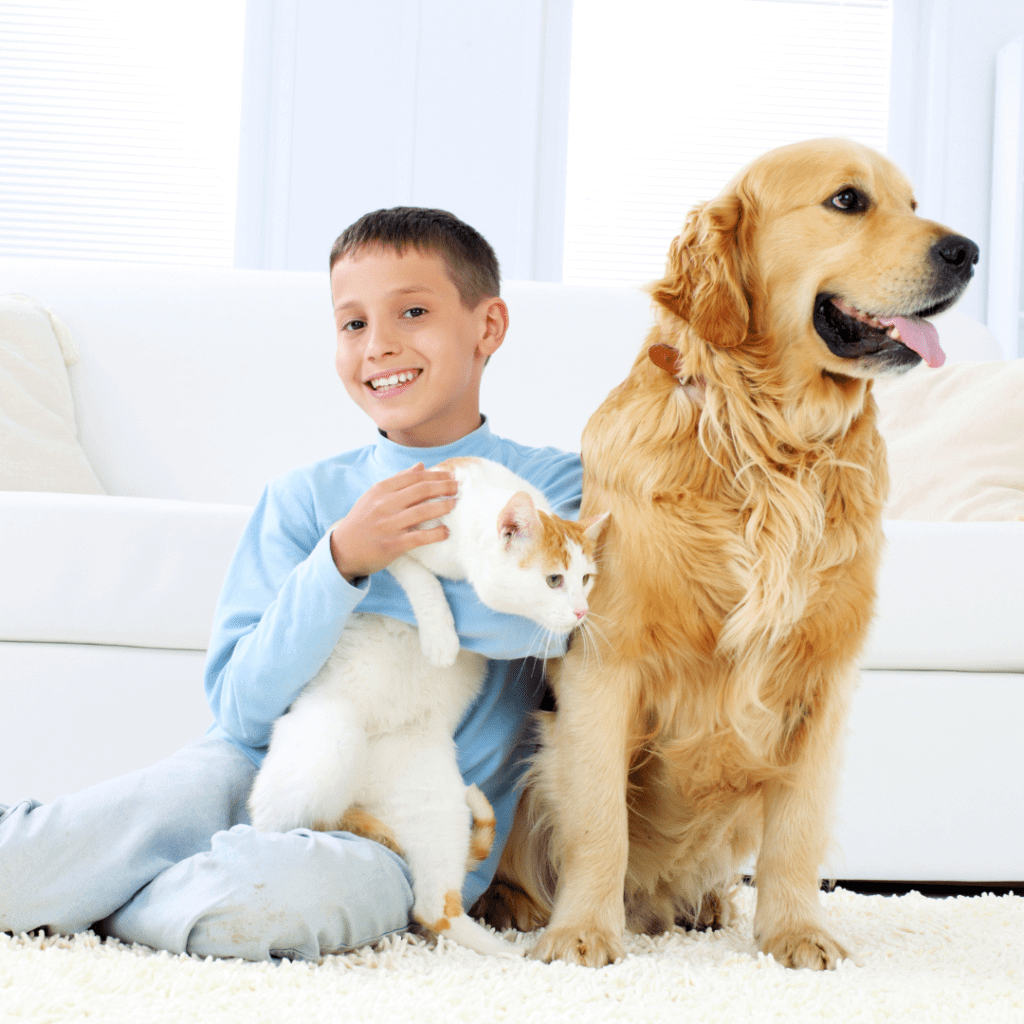 About River Oak Vet | Vet In Simpsonville, SC 29681